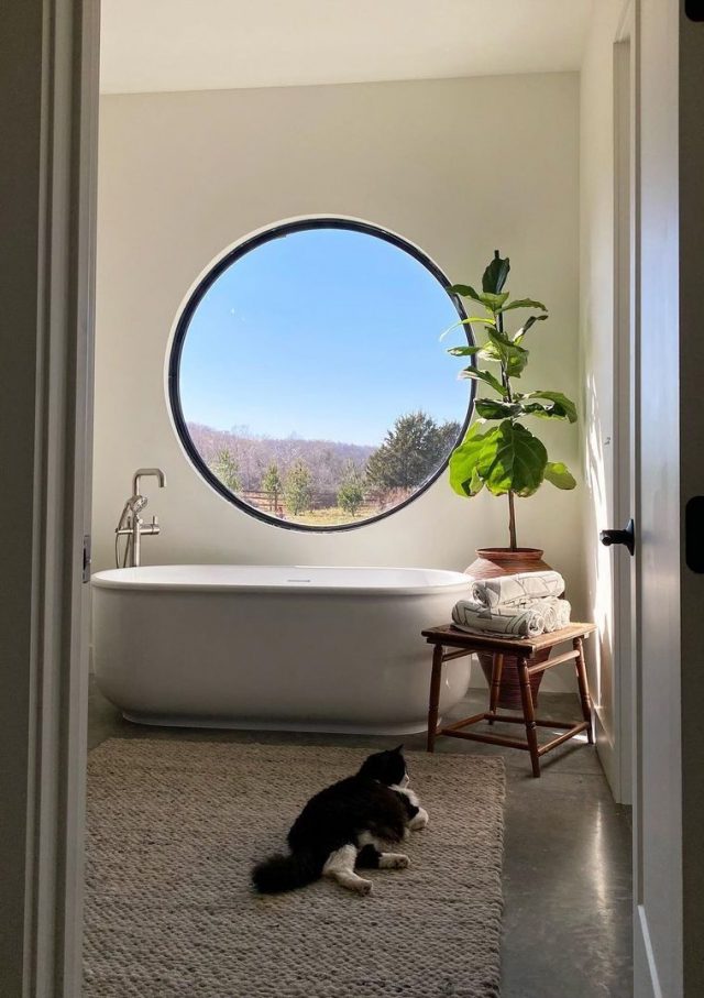 23 Popular Window Styles to Consider for Your Dream Home