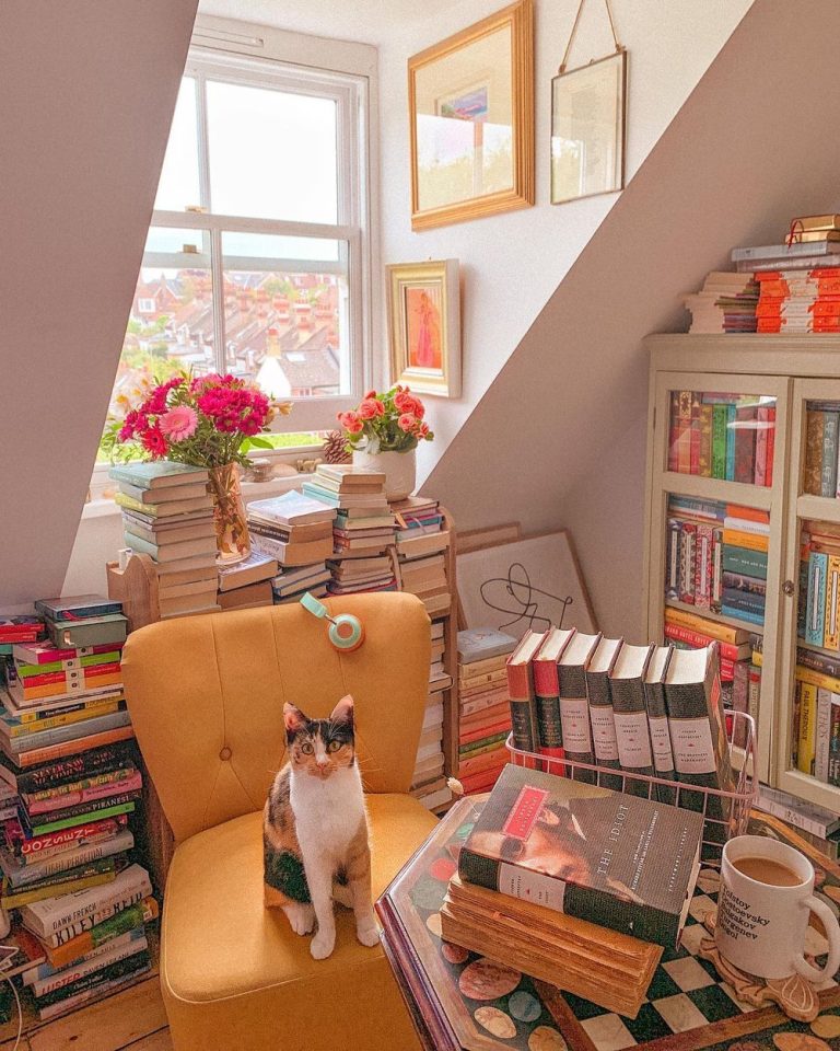 19 Dream Home Library Ideas for the Ultimate Reading Sanctuary